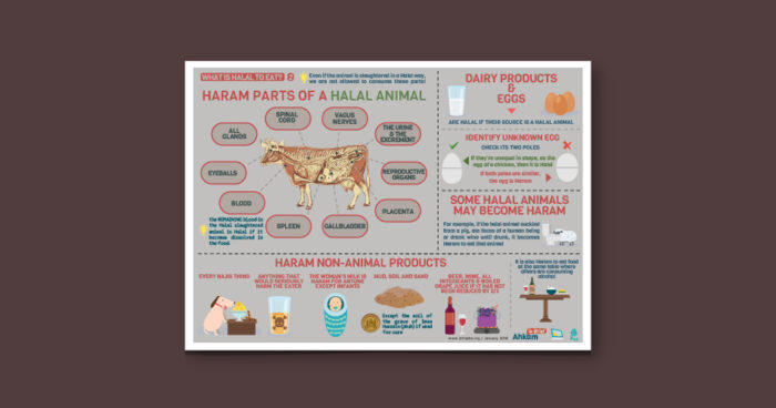 What is Halal to eat? – Part 2 – ZTMedia